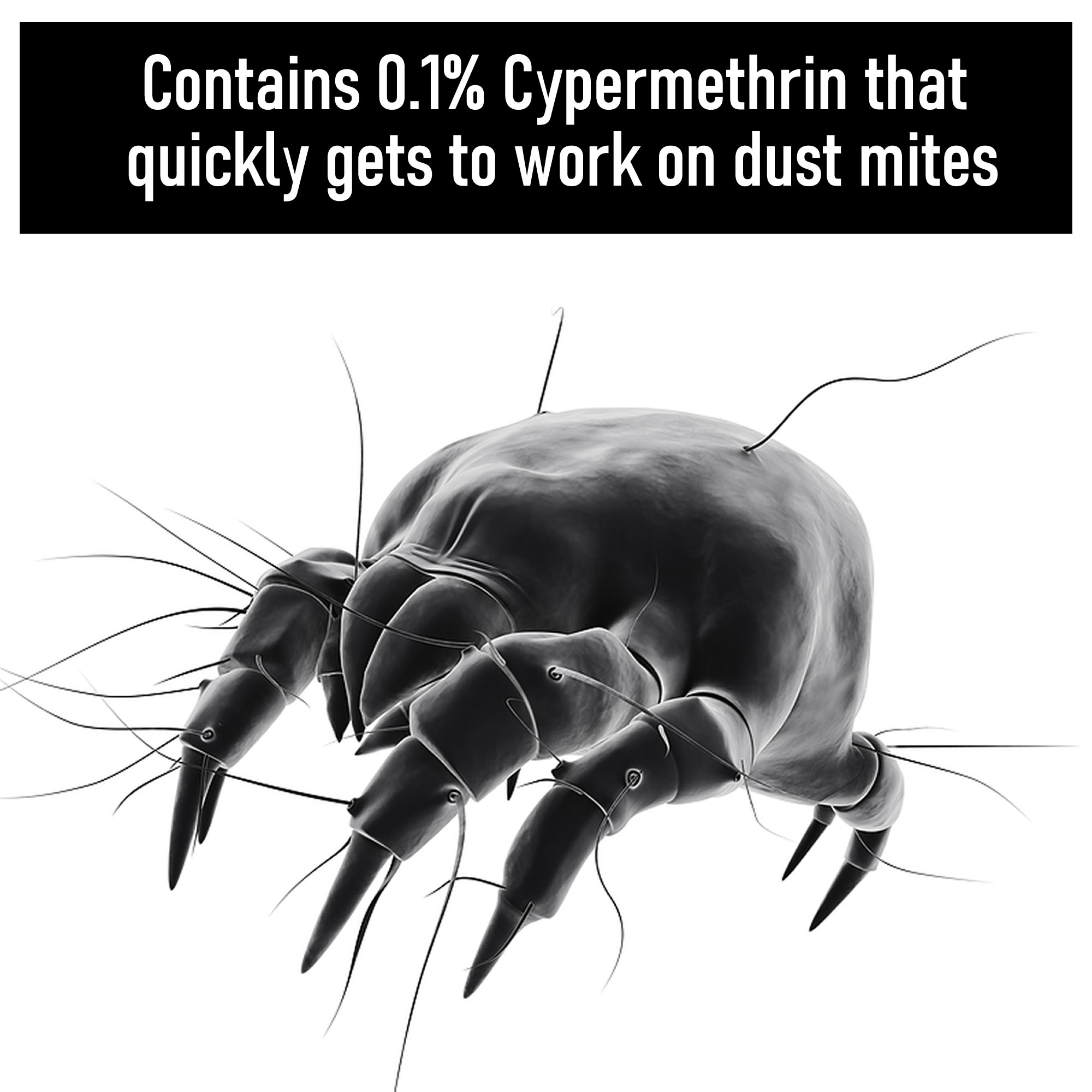 Dust Mite Killer Spray Control Mite Allergy Spray Dust Bed Mattress ...