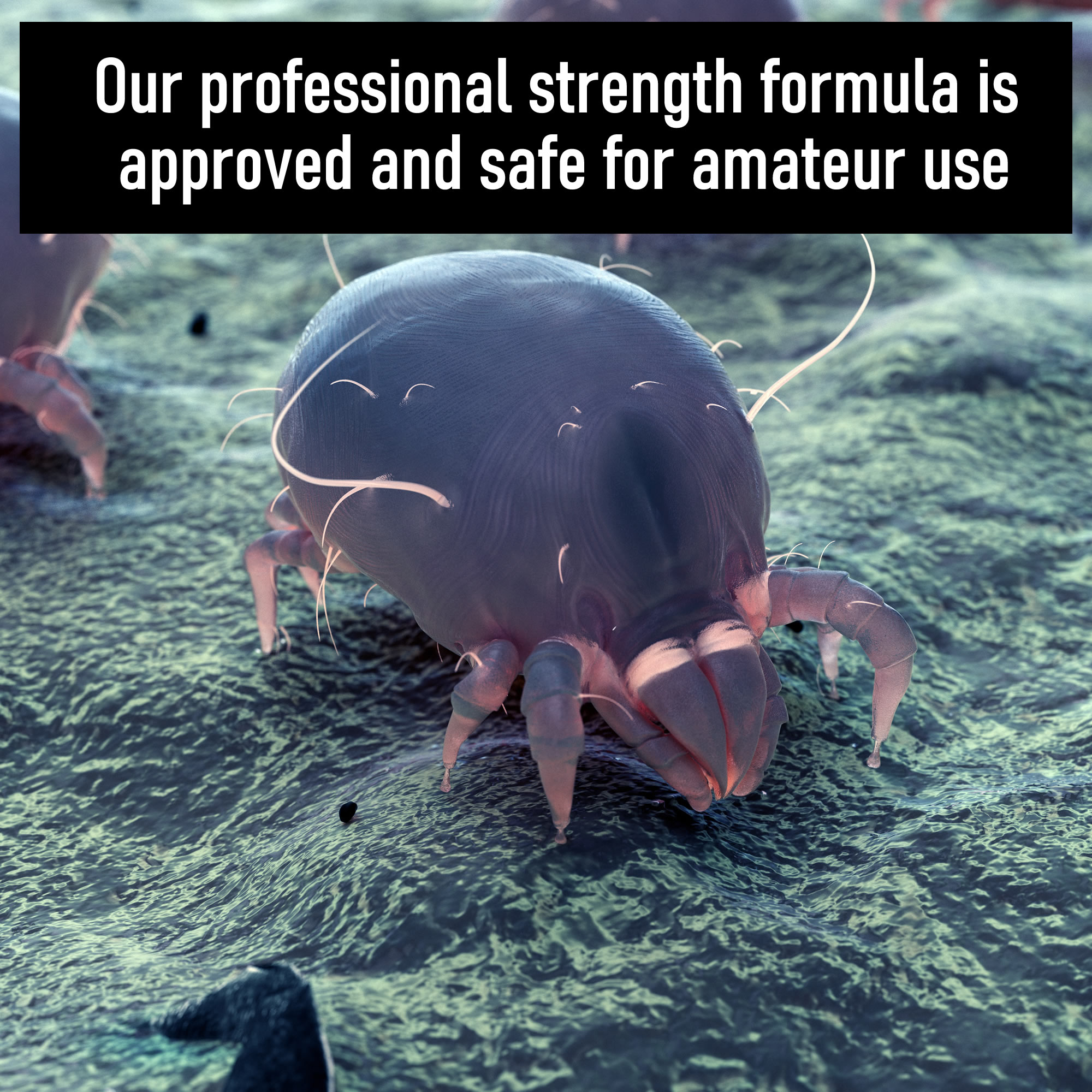 Dust Mite Killer Spray Control Mite Allergy Spray Dust Bed Mattress ...