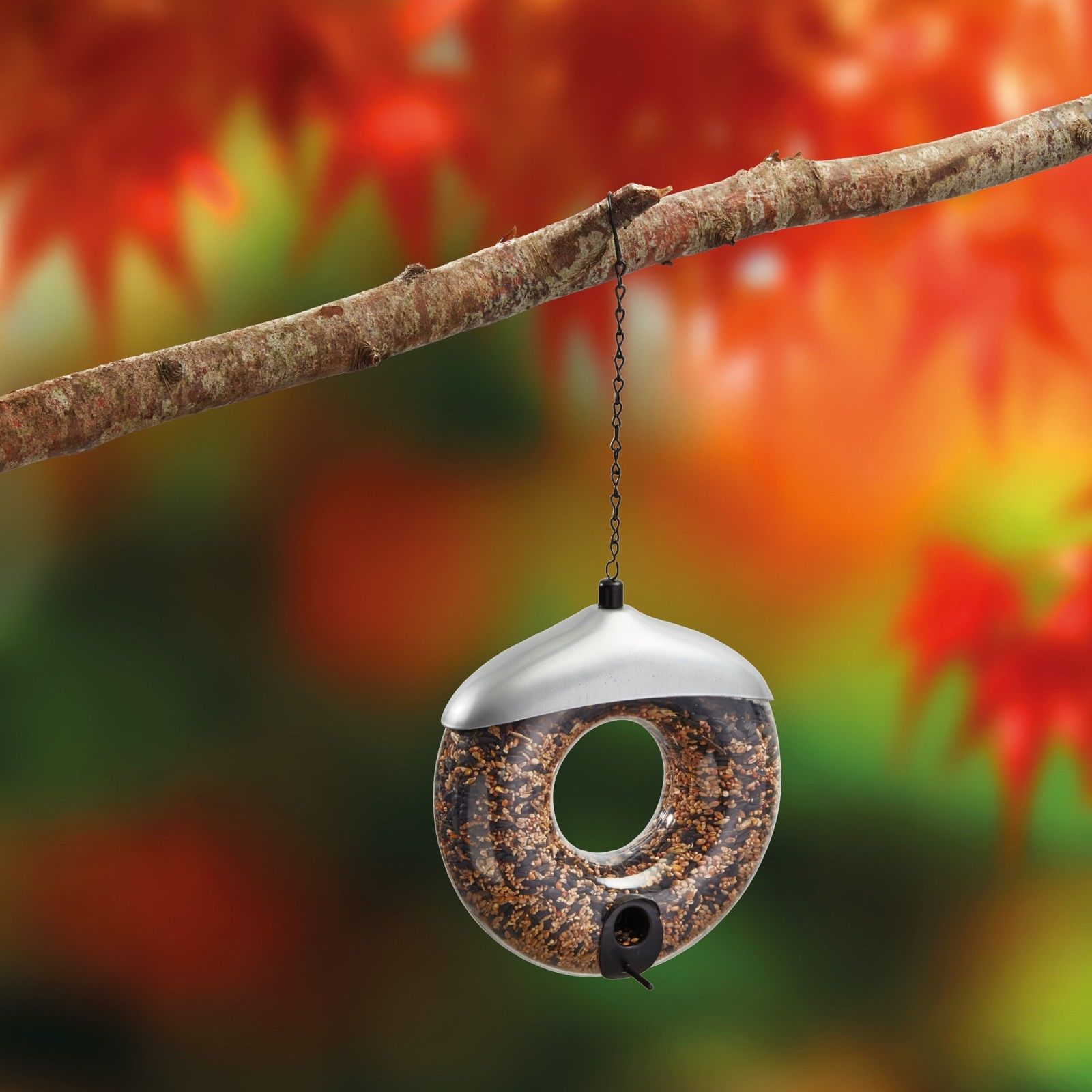 Kingfisher Wild Bird Feeder Donut Ring Sunflower Seed Mix Holder Happy ...